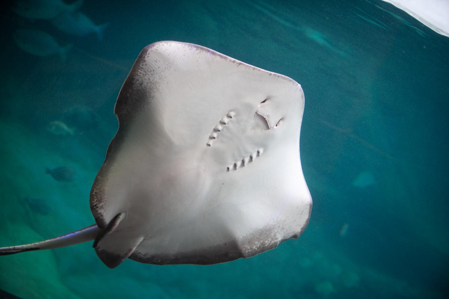 Columbus Zoo and Aquarium | Winter